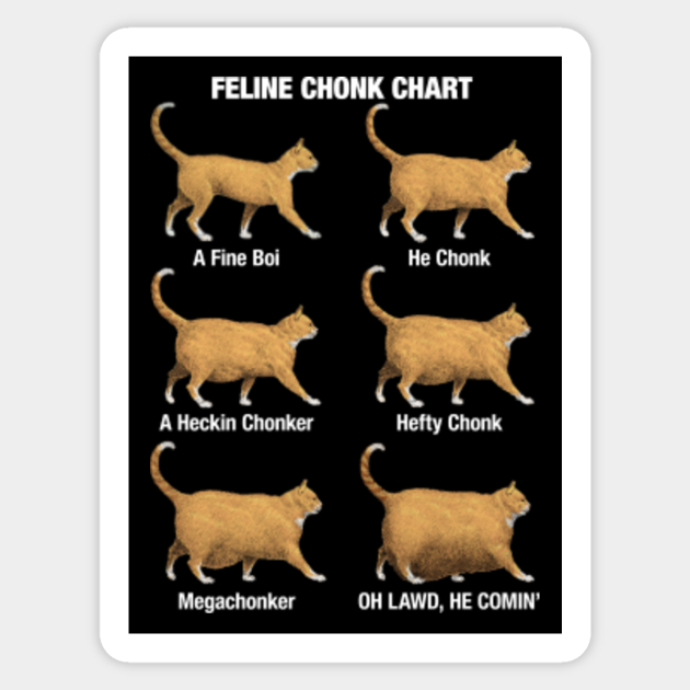 Feline Chonk Chart, Funny Chonk Cat Meme - Chonk Cat - Sticker | TeePublic Feline Chonk Chart, Funny Chonk Cat Meme - Chonk Cat - Sticker | TeePublic